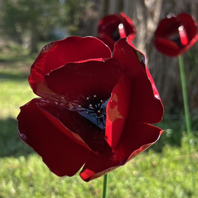 Travellers Finds Metal Hand Painted Poppy